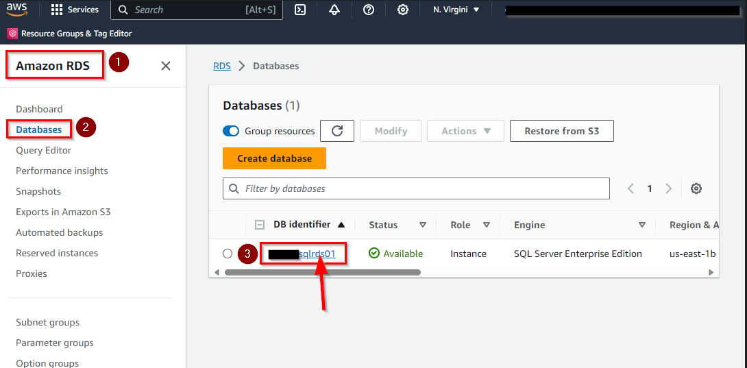 Snapshot or Backup AWS RDS SQL Server – Love The SQL